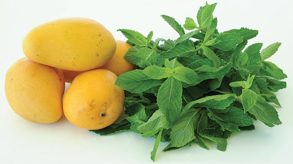 Mango & Mint in Library Journal - PM Press