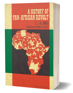 Black Liberation and Visions of Abolition Reading List - PM Press