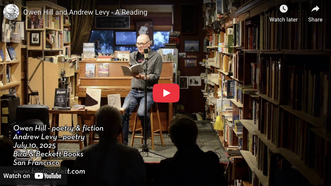 Owen Hill and Andrew Levy - A Reading - PM Press